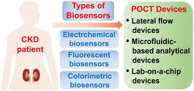 Point-of-care biosensors and devices for diagnostics of chronic kidney ...