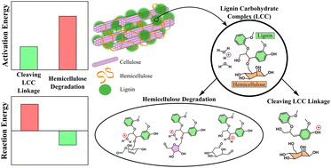 Reaction pathways and energetics of the deconstruction of lignin ...