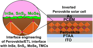 Engineering of the perovskite/electron-transporting layer interface ...
