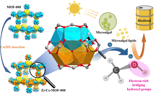 Enhanced hydroxyl bridge-mediated microalgal lipid conversion via mixed ...