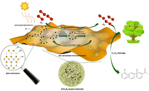 Sulfur vacancy induced radical generation in ZnIn2S4 for lignin ...