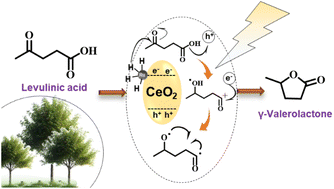 Highly efficient Ru-decorated CeO2 for photocatalytic hydrogenation and cyclization of levulinic ...