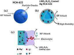 Co-modification of NCM-622 via Mg2+in situ doping and LiBO2/B2O3 surface coating: a pathway to ...