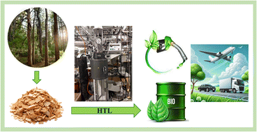 Advancing hydrothermal liquefaction of Canadian forestry biomass for ...