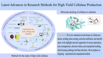 Latest advances in research methods for high-yield cellulase production ...