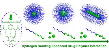 Hydrogen bonding enhanced drug–polymer interaction for efficient drug ...