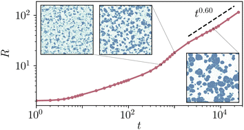 Phase separation kinetics and cluster dynamics in two-dimensional ...