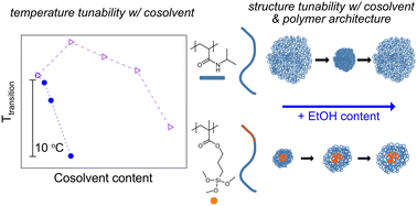 Cosolvent incorporation modulates the thermal and structural response ...