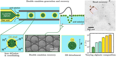 Controlling the size and elastic modulus of in-aqueous alginate micro ...