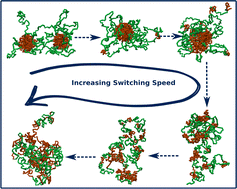 Nonequilibrium switching of segmental states can influence compaction ...
