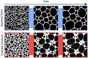 Foam coarsening in a yield stress fluid - Soft Matter (RSC Publishing)