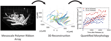 Mesoscale polymer arrays: high aspect ratio surface structures and ...