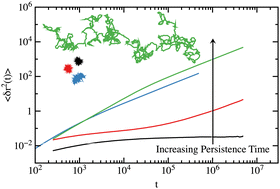 Extremely persistent dense active fluids - Soft Matter (RSC Publishing)