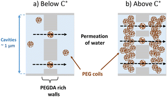 Tuning the water intrinsic permeability of PEGDA hydrogel membranes by ...