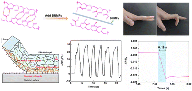 Boron nitride microfiber reinforced polyacrylic acid hydrogels with ...