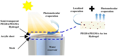 Highly porous hydrogels for efficient solar water evaporation - Soft ...