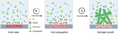 Localized self-assembly of macroscopically structured supramolecular ...