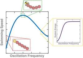 Influence of the frequency on undulatory swimming speed in granular ...