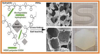 Biocompatible, porous hydrogels composed of aliphatic polyesters and ...