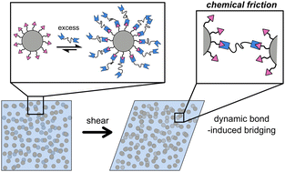 Shear thickening in suspensions of particles with dynamic brush layers ...