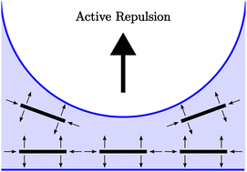 Controlling wall–particle interactions with activity - Soft Matter (RSC ...