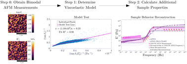 Enhancing nanoscale viscoelasticity characterization in bimodal atomic force microscopy - Soft ...