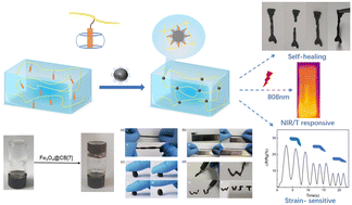 An interfacial host–guest inclusion complex regulated supramolecular ...