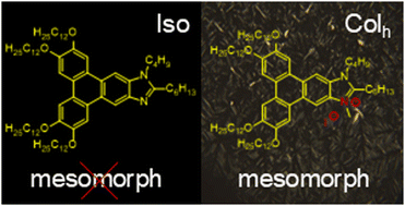Core charge of imidazolium annulated triphenylene derivatives induces ...