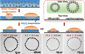 Self-assembly of gold nanoparticles into ring-like hierarchical ...