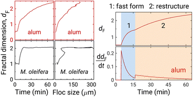 Light scattering study of algal floc growth and structure: alum vs ...