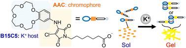 A 15-crown-5-ether-based supramolecular hydrogel with selection ability ...