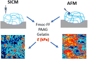 Mechanical properties of soft hydrogels: assessment by scanning ion ...