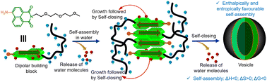 Entropically and enthalpically driven self-assembly of a naphthalimide ...
