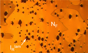 Thermotropic reentrant isotropy and induced smectic ...