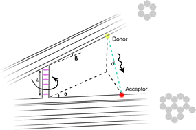 DNA crossover flexibilities upon discrete spacers revealed by single ...