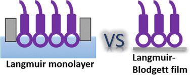 Structure affinity of the Langmuir monolayer and the corresponding ...