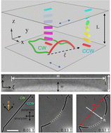Morphology and line tension of twist disclinations in a nematic liquid ...