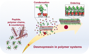Self-assembly, cytocompatibility, and interactions of desmopressin with ...