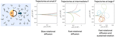 Enhanced rotational diffusion and spontaneous rotation of an active ...