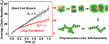 Dissipative particle dynamics simulations on the self-assembly of rod-coil asymmetric diblock ...