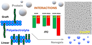 Protein–polyelectrolyte complexation: effects of sterically repulsive ...