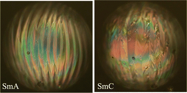 How smectic-A and smectic-C liquid crystals resolve confinement-induced ...