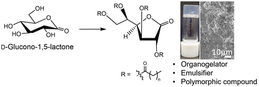 Synthesis of d-glucono-1,4-lactones modified with linear saturated ...