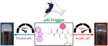 Fmoc-conjugated dipeptide-based hydrogels and their pH-tuneable ...