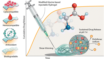 Functionalized amino acid-based injectable hydrogels for sustained drug ...