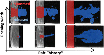 Unjamming of particle–laden interfaces: effects of geometry and history ...