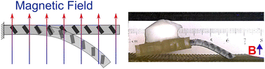 Pattern architected soft magnetic actuation - Soft Matter (RSC Publishing)