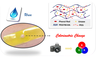 Development of colorimetric PEG-based hydrogel sensors for urea ...