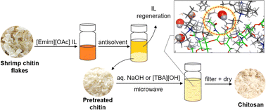 Ionic liquid strategy for chitosan production from chitin and molecular ...