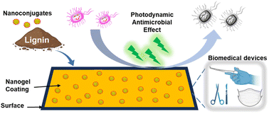 Lignin-based sustainable antifungal gel nanocoatings for disinfecting ...